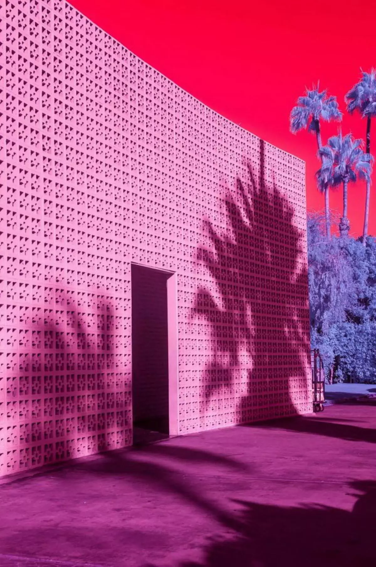 Dunia dalam kacamata merah muda! Palm Springs In Infrared Pictures Kate Ballis (Kate Ballis) 6160_6