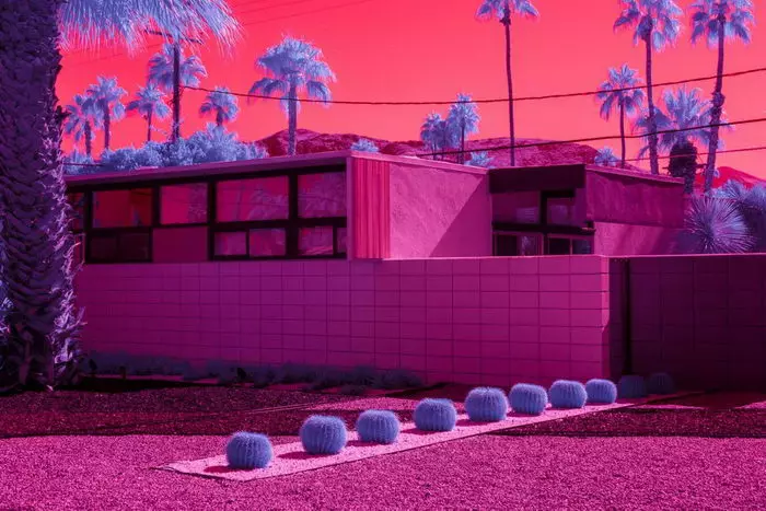 Dunia dalam kacamata merah muda! Palm Springs In Infrared Pictures Kate Ballis (Kate Ballis) 6160_7