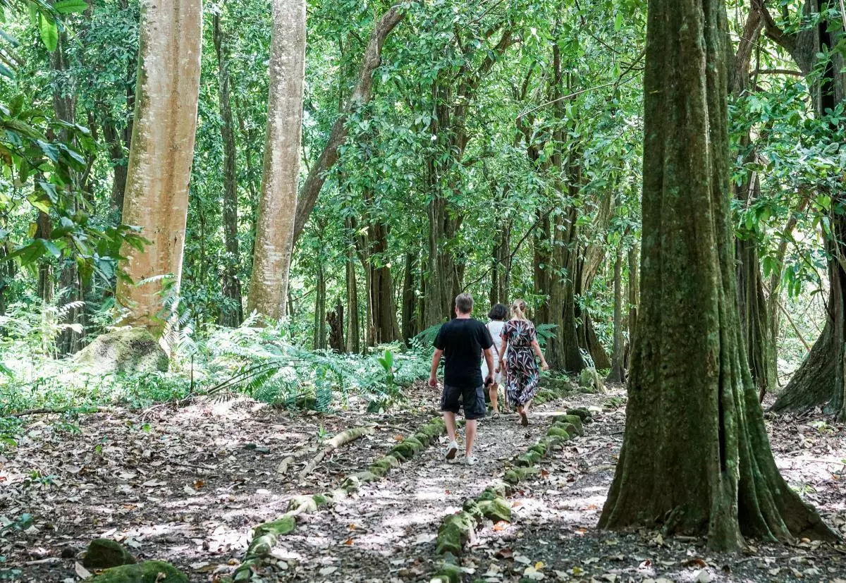 Jungle France - tempat yang sangat aneh! Fotografer Evgeny Kaspersky. 6212_1