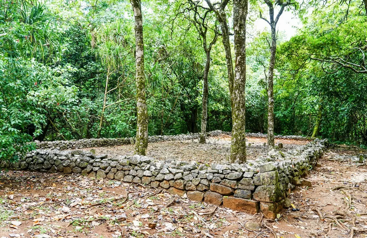 Jungle France - tempat yang sangat aneh! Fotografer Evgeny Kaspersky. 6212_18