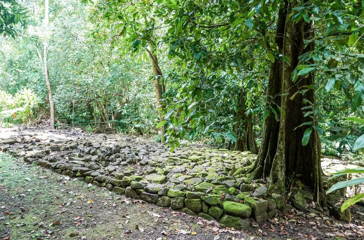 Jungle France - vrlo čudno mesto! Fotograf Evgeny Kaspersky 6212_19