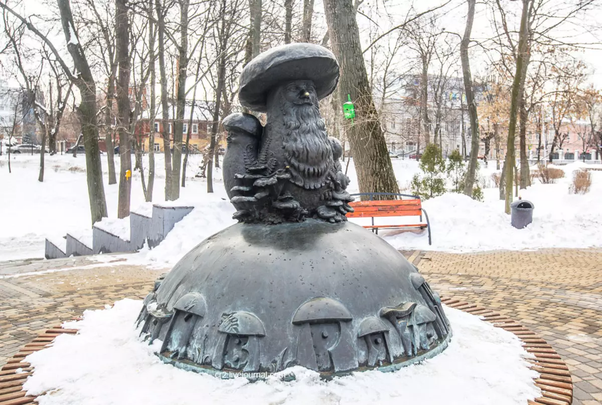 Gehen Sie nach Ryazan? Fotograf und Künstler alexey kulikov. 6235_22