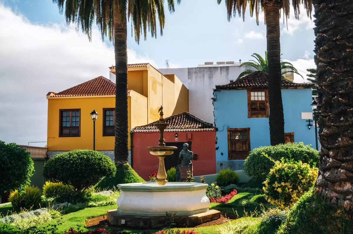 El viaje de fotos de Andrei Bornechnikova a la isla multicolor de Tenerife 6245_13