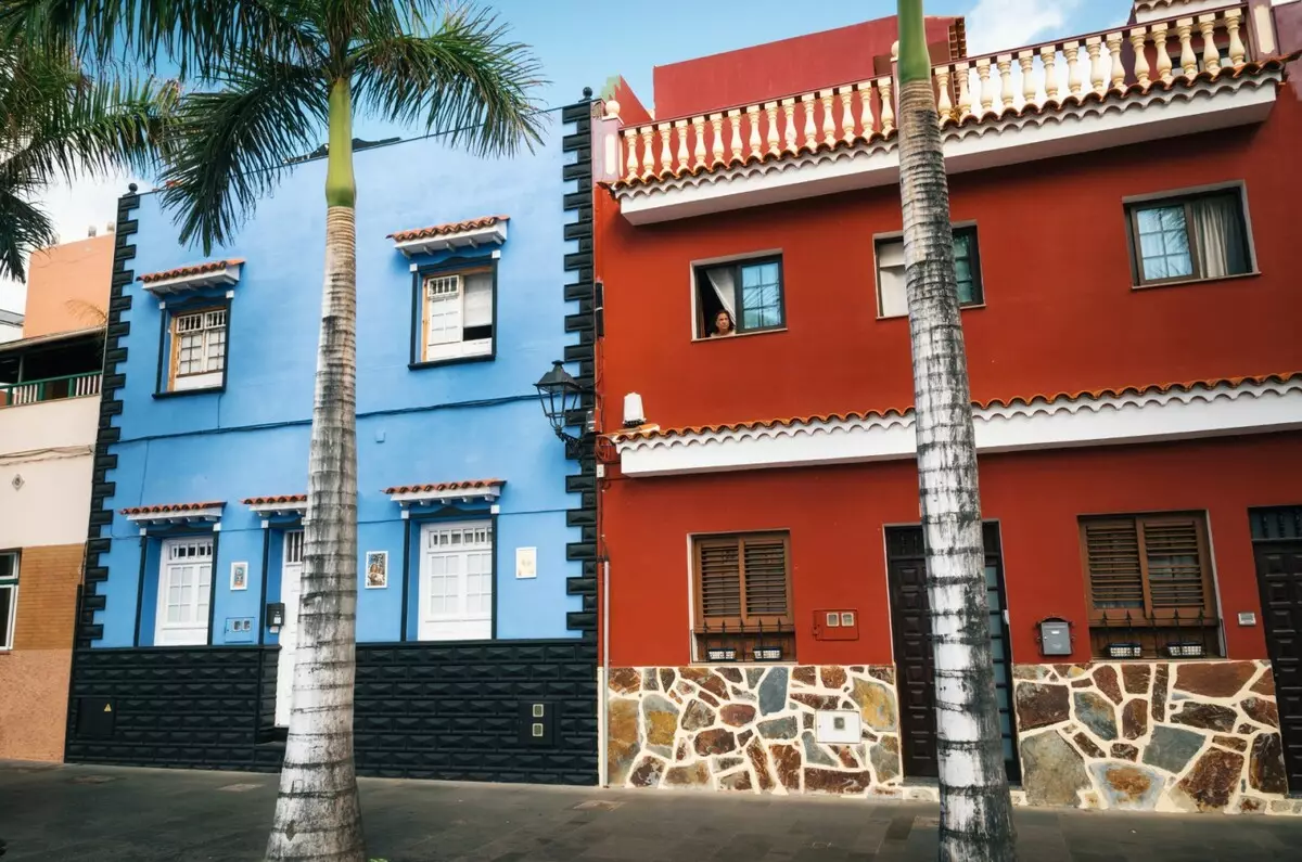 El viaje de fotos de Andrei Bornechnikova a la isla multicolor de Tenerife 6245_6