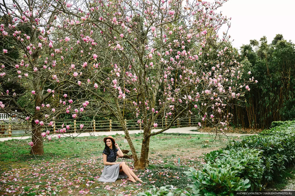 Soči: Kvetoucí Magnolia a Sovětský Chic! Fotograf Andrei Vasiliskov. 6261_16