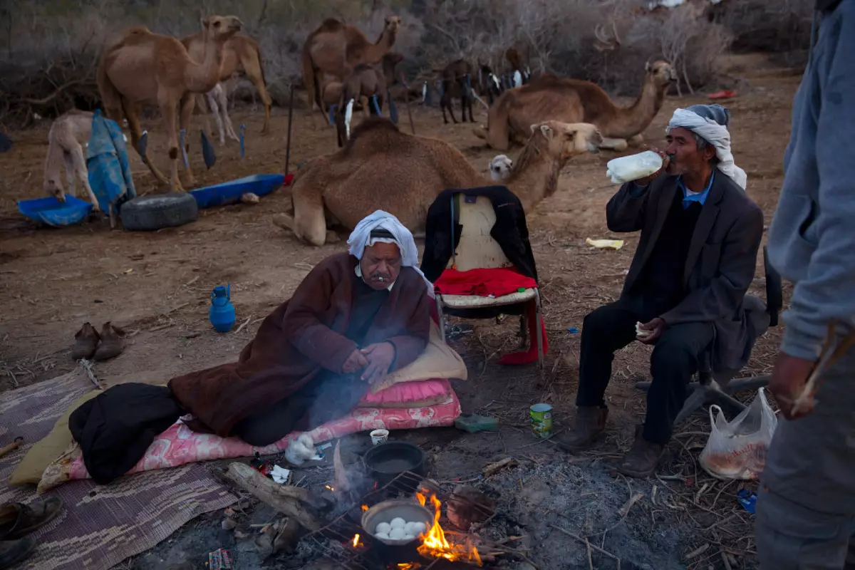 Ang mga Bedouin ng Dead Sea sa Lens Oded Balilty (Oded Balilty) 6273_9