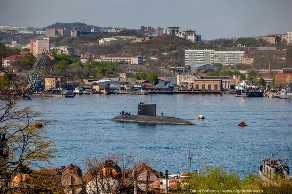 Vladivosk. Ibhulorho. Imbono yokugqibela evela kwi-Olga Bobkova 6293_10