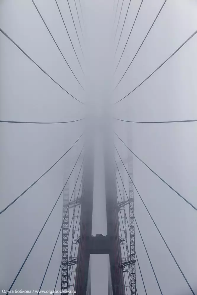 Wladiwostok. Brücke. Letzter Ansicht von Olga Bobkova 6293_14