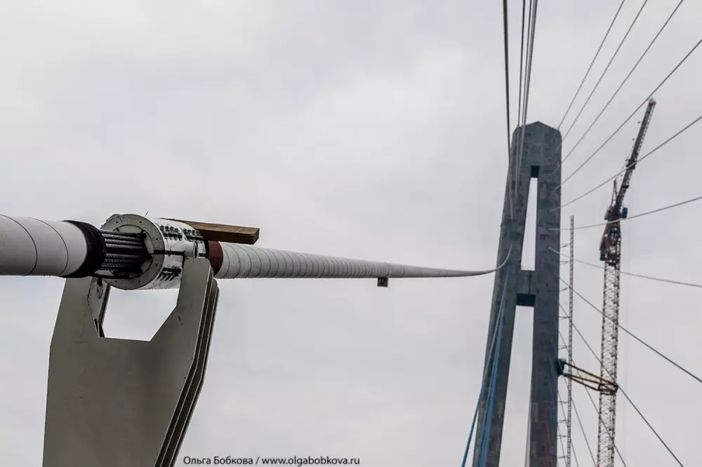 Wladiwostok. Brücke. Letzter Ansicht von Olga Bobkova 6293_16