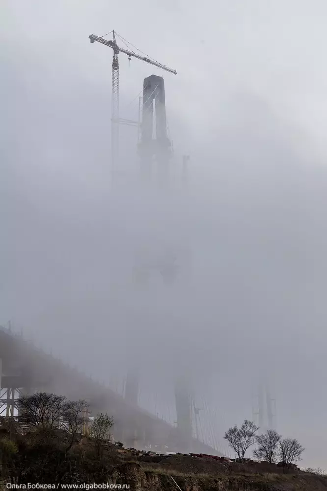 Vladivostok. Ponte. Última vista de Olga Bobkova 6293_2