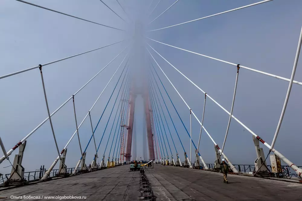 Vladivostok. Menjembatani. Pandangan terakhir dari Olga Bobkova 6293_3