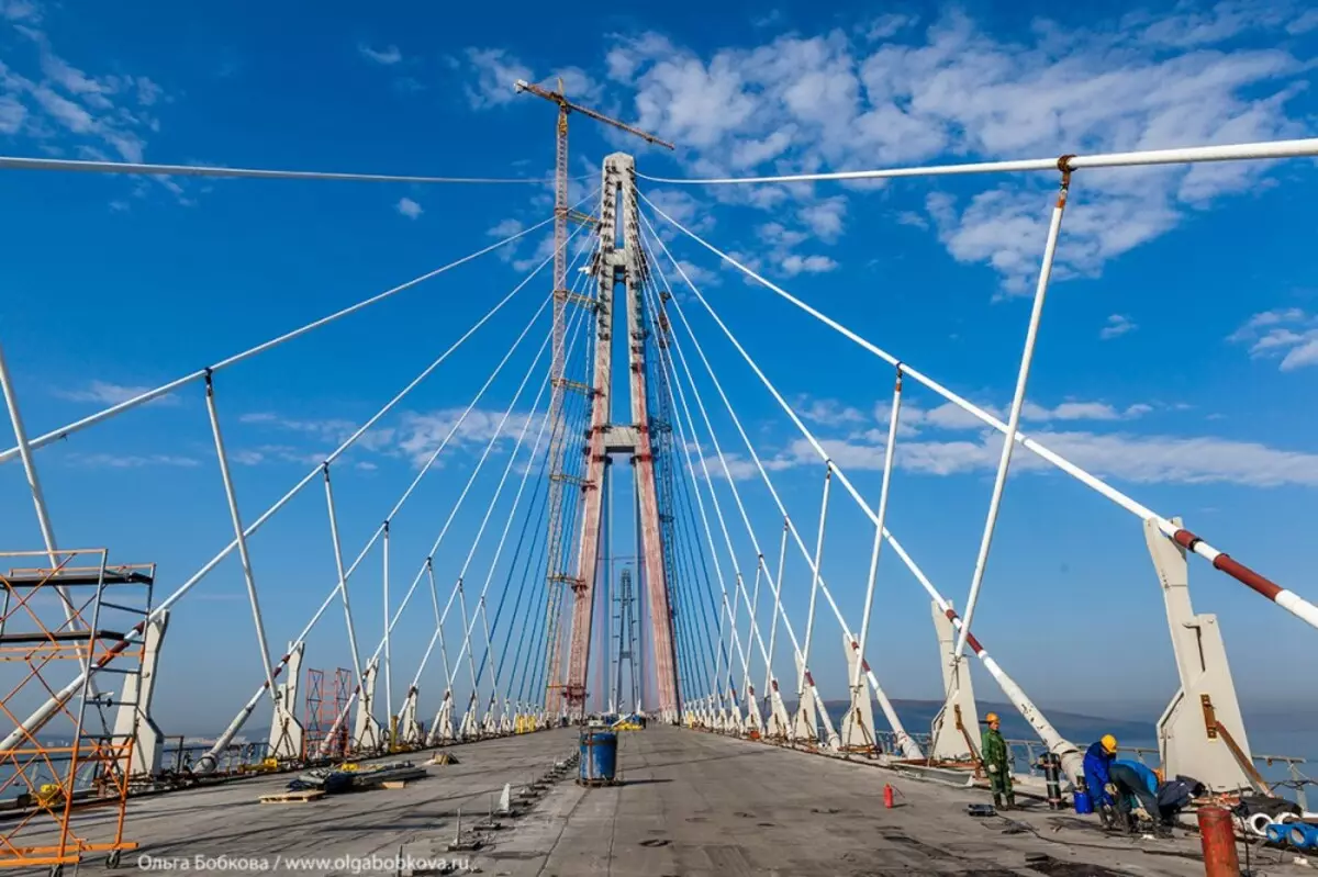 Vladivostok. Ponte. Última vista de Olga Bobkova 6293_5