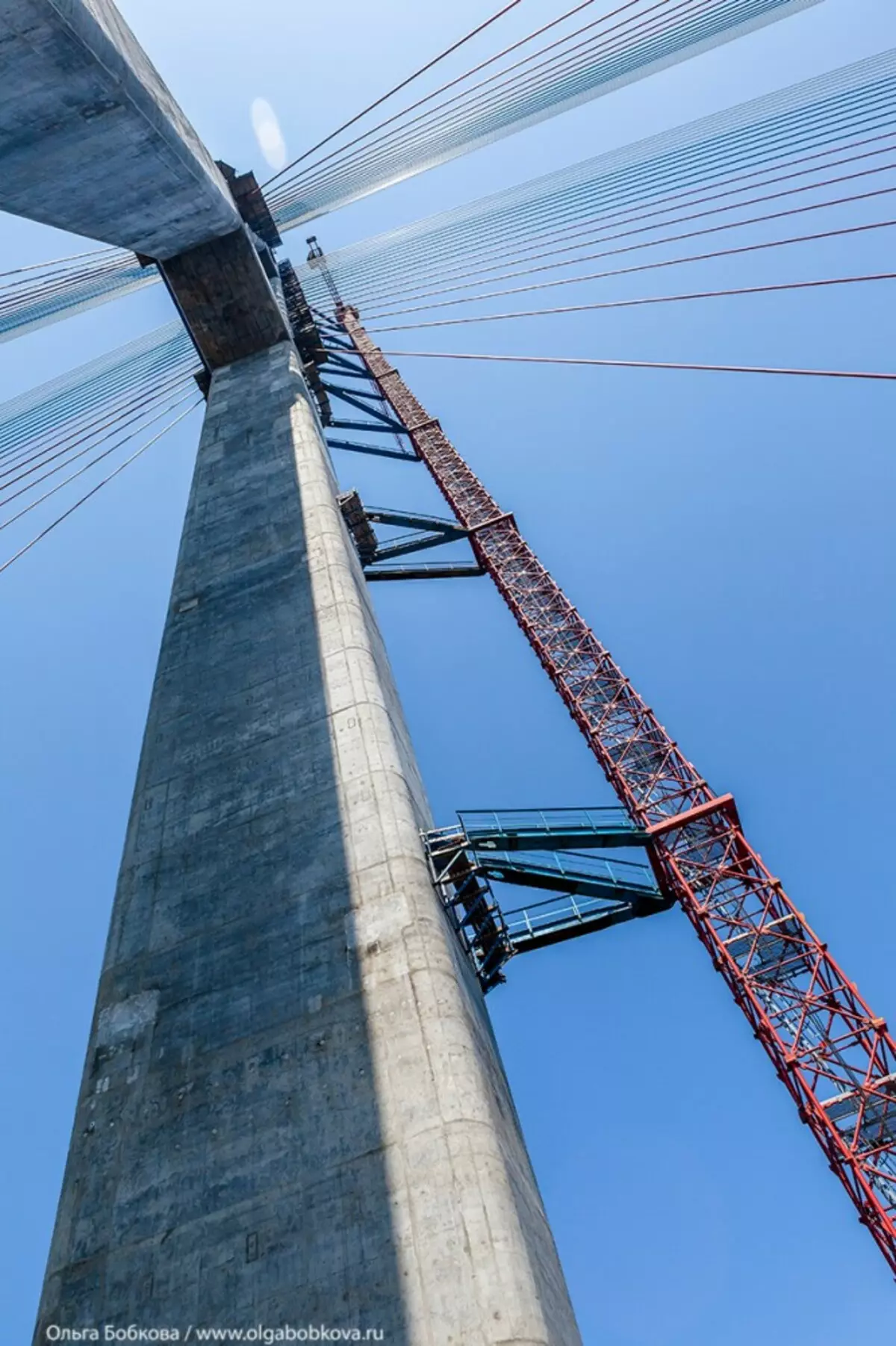 Vladivostok. Ponte. Última vista de Olga Bobkova 6293_8