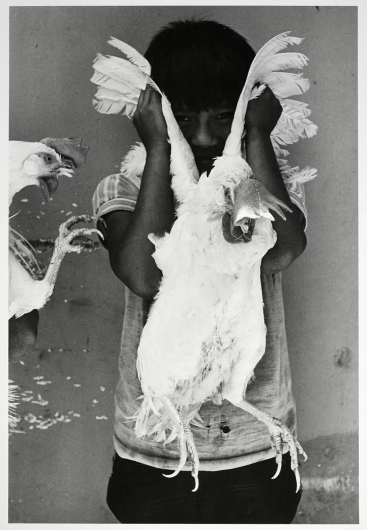 Sievietes sabiedrībā: fotogrāfs Graciela iterbīds (Graciela iTurbide) 6379_15