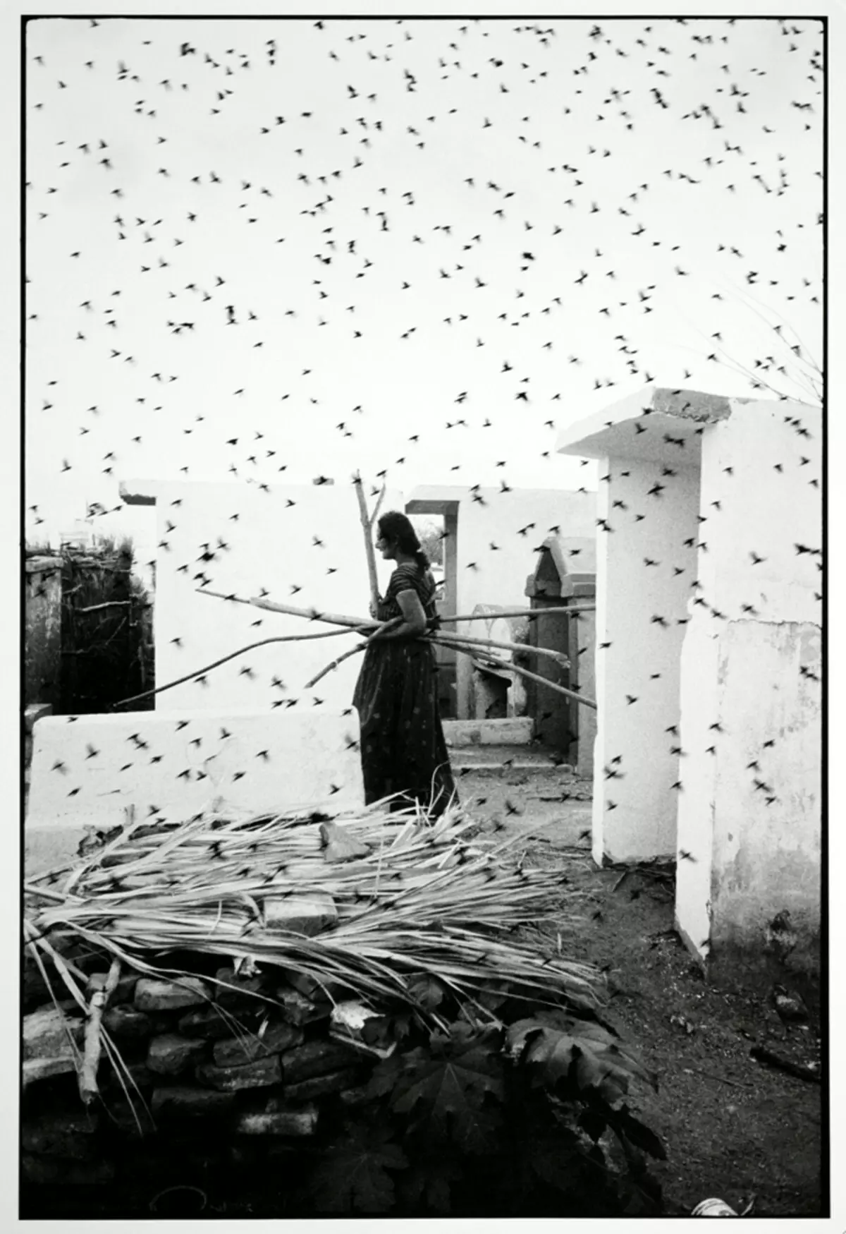 Virinoj en Socio: Fotisto Graciela Ierbide (Graciela Iturbide) 6379_16