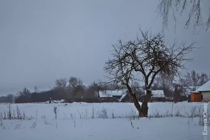 Историското патување во првата населба на старите верници во Русија, Елена Унис 6387_11