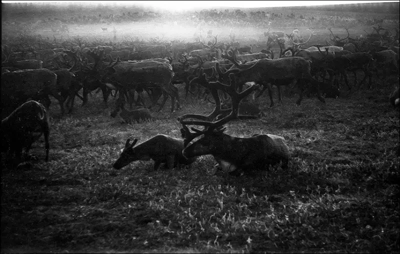 Nude na obrázkoch Krasnojarsk fotograf Alexander Kustov 20