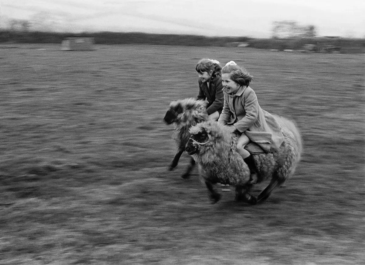 Chaj la nan atitid la kè kontan nan mond lan soti nan John Drisdale (John Drysdale) 6421_1