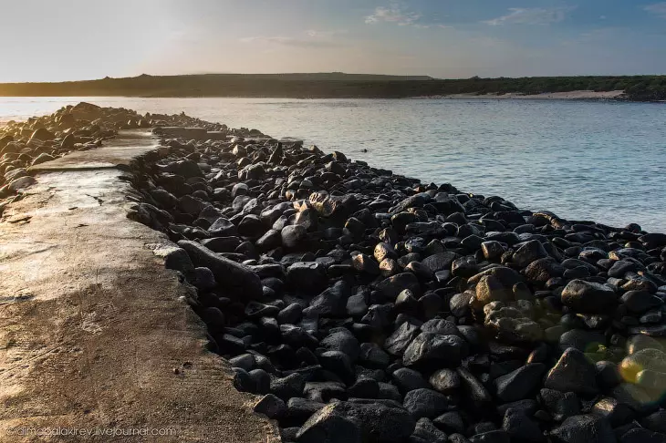 Galapagos, Espanyola Island mune Lens Dmitry Diskirev 6450_1