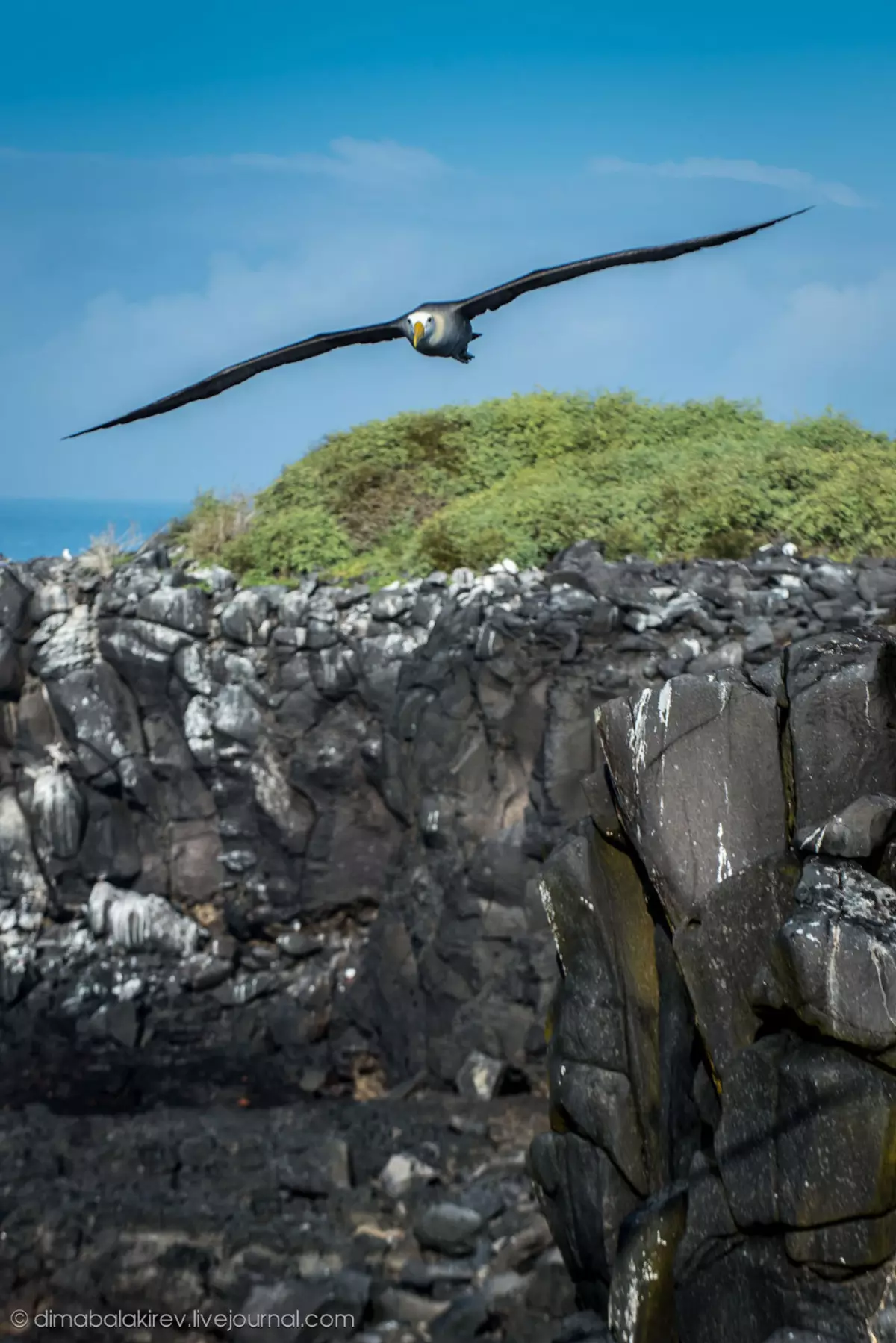 Galapagos. Espanyola Island.