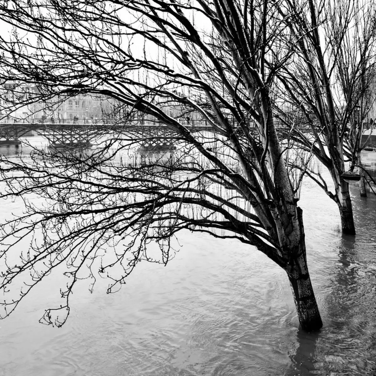 Paris Winter ... Snow ma le vai ... Photographer Nikolay Endhourgor 6468_23