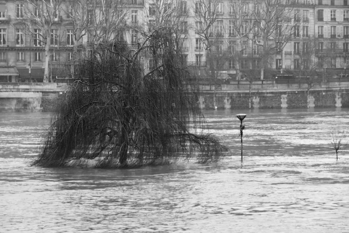 Paris Winter ... Snow ma le vai ... Photographer Nikolay Endhourgor 6468_3