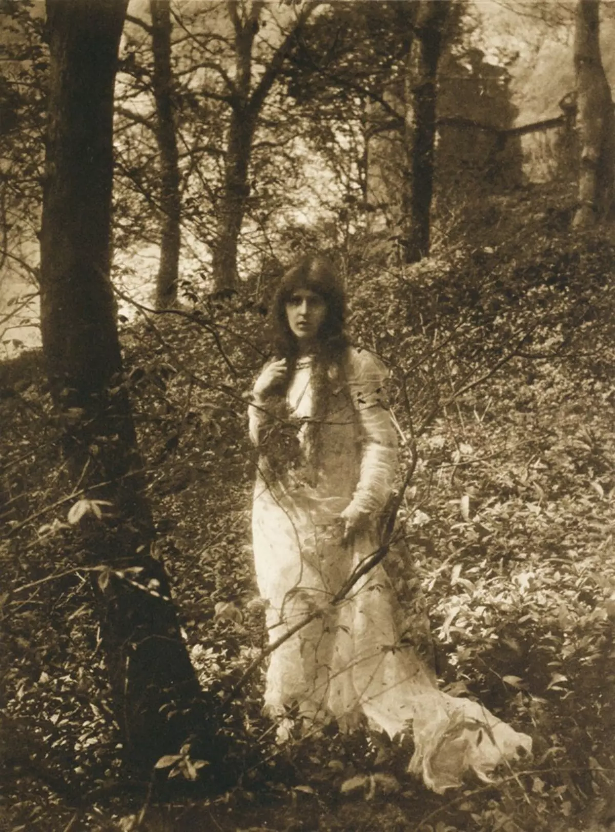 ຊ່າງຖ່າຍຮູບ Scottish-Pictorialist James Craig Annan 17