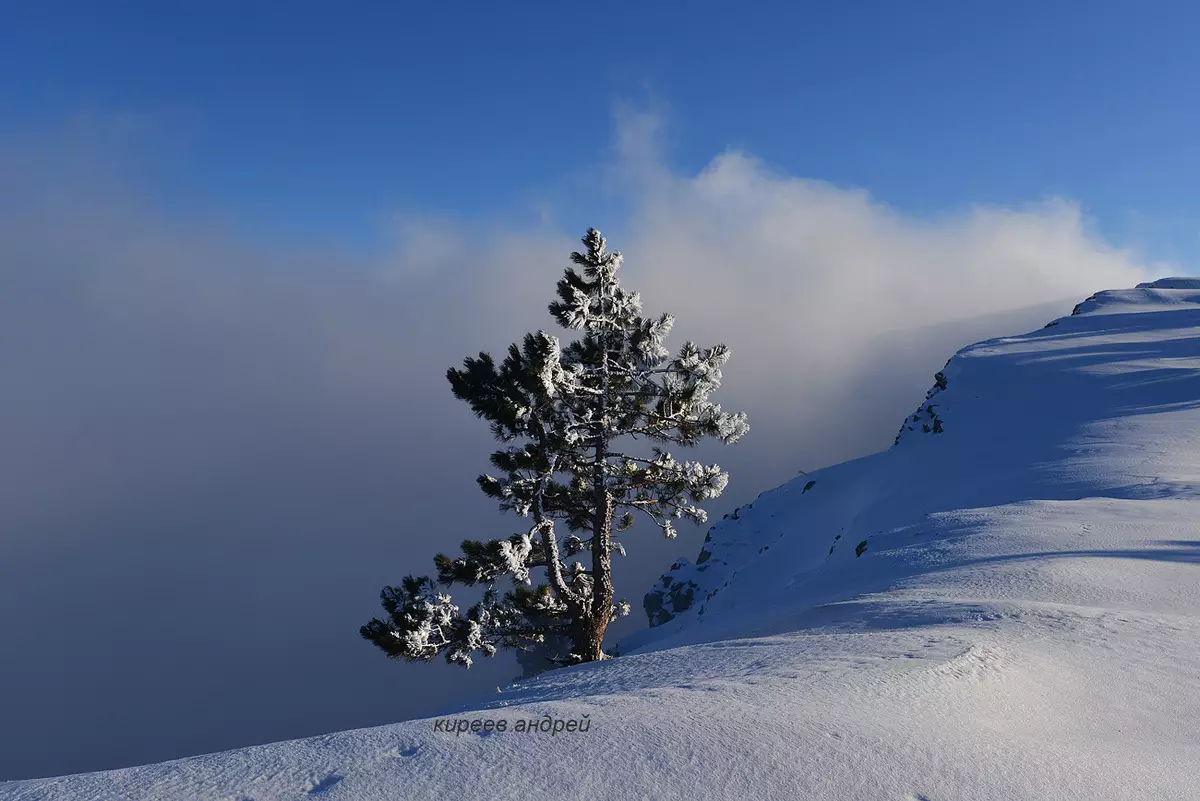 Talagsaon nga lami ... tingtugnaw sa Ai-Petri sa Andrei Kireeva Lens 6514_7