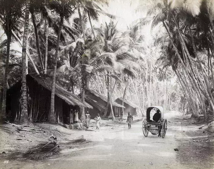 Sri Lanka da década de 1880: Fotos raras de Patrick Montgomery (Patrick Montgomery) 6602_1