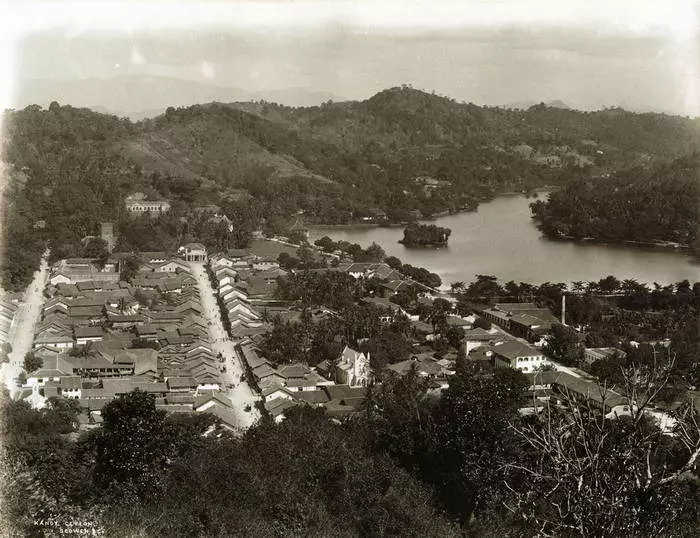 Sri Lanka da década de 1880: Raros Fotos de Patrick Montgomery (Patrick Montgomery) 6602_11