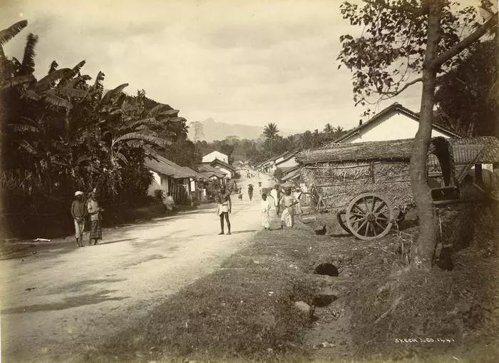 Sri Lanka vun den 1880er: Rare Fotoe vu Patrick Montgomery (Patrick Montgomery) 6602_3