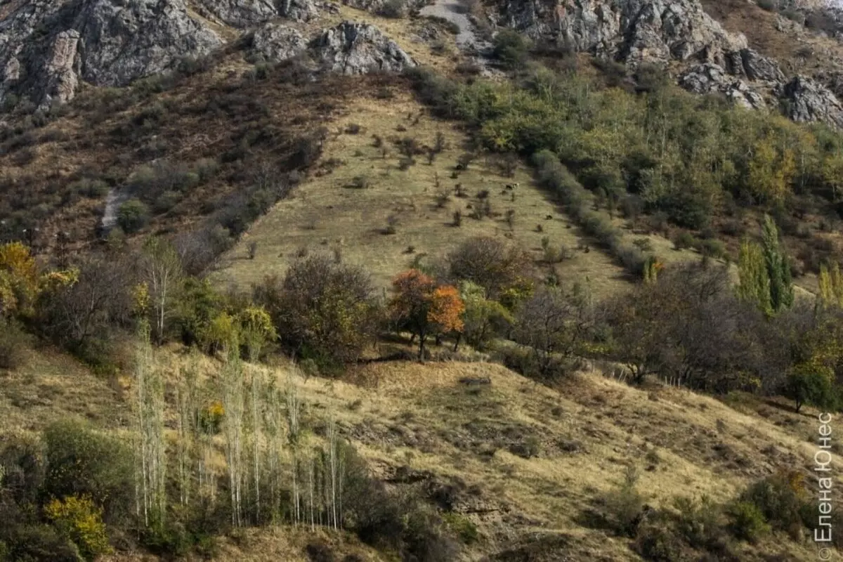 Mountain Sai: herfst fotoreis naar Oezbekistan Elena Unes 6702_11