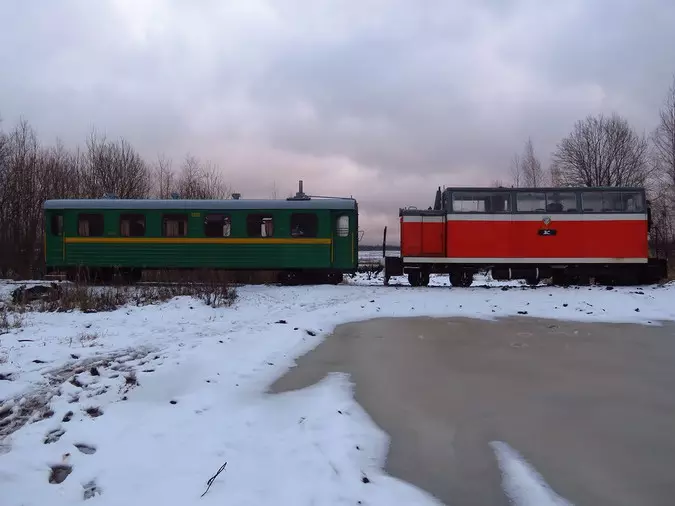 TÖSOVSKOY NARZOKOLE NARZOKOLEA Жорж Красникова дахь музейн музейд зураг авах 6850_41