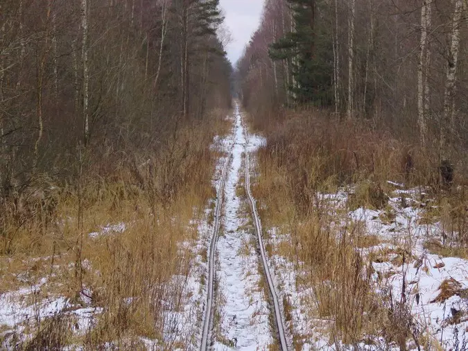 Na-ese foto na ebe ngosi ihe mgbe ochie na Tösovskoy narzokovee Geornikova 6850_42