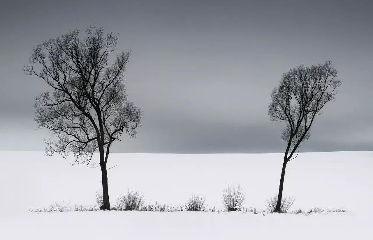 Natureza pensativa nas fotos Haiko Gerlicher Saer (Heiko Gerlicher) 6915_11