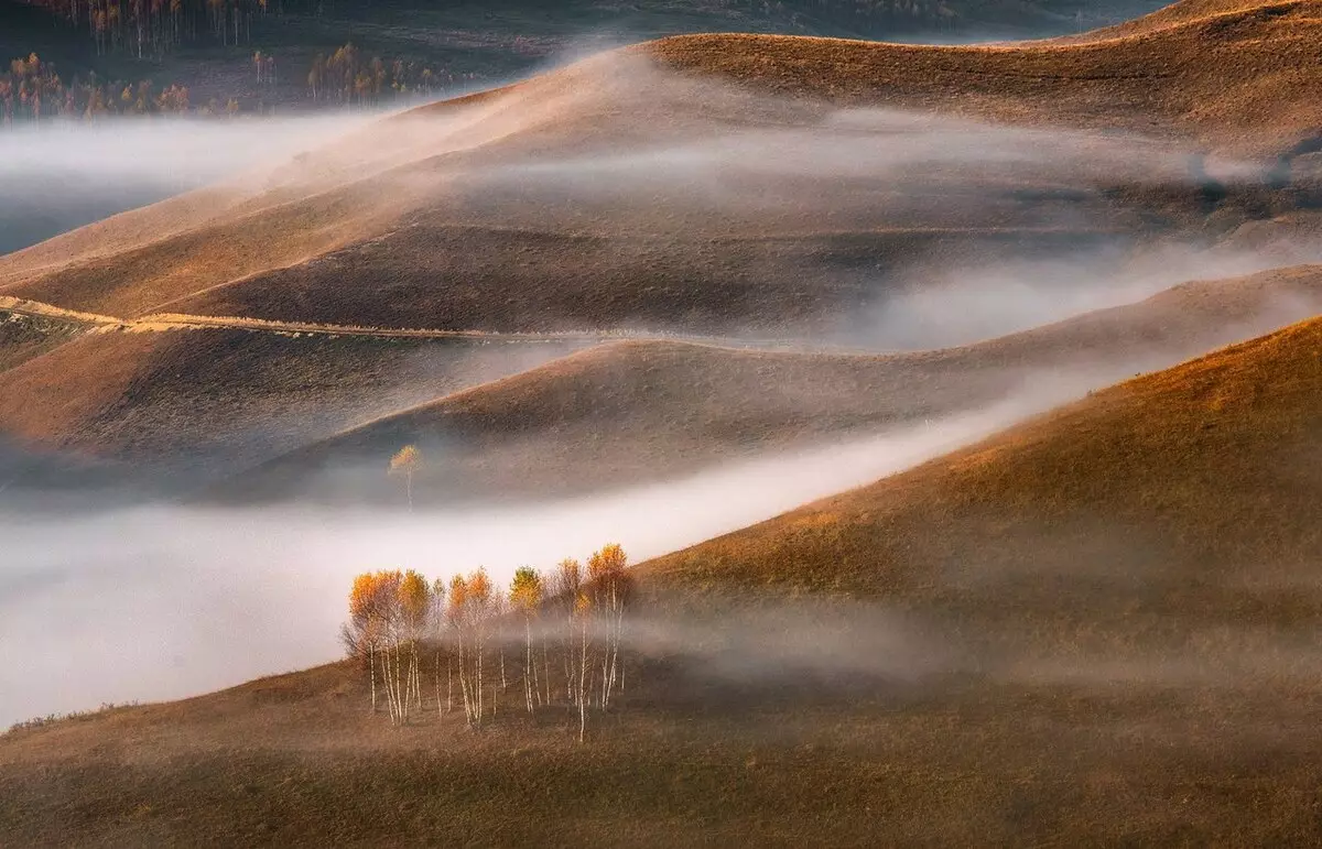 Natureza pensativa nas fotos Haiko Gerlicher Saer (Heiko Gerlicher) 6915_3