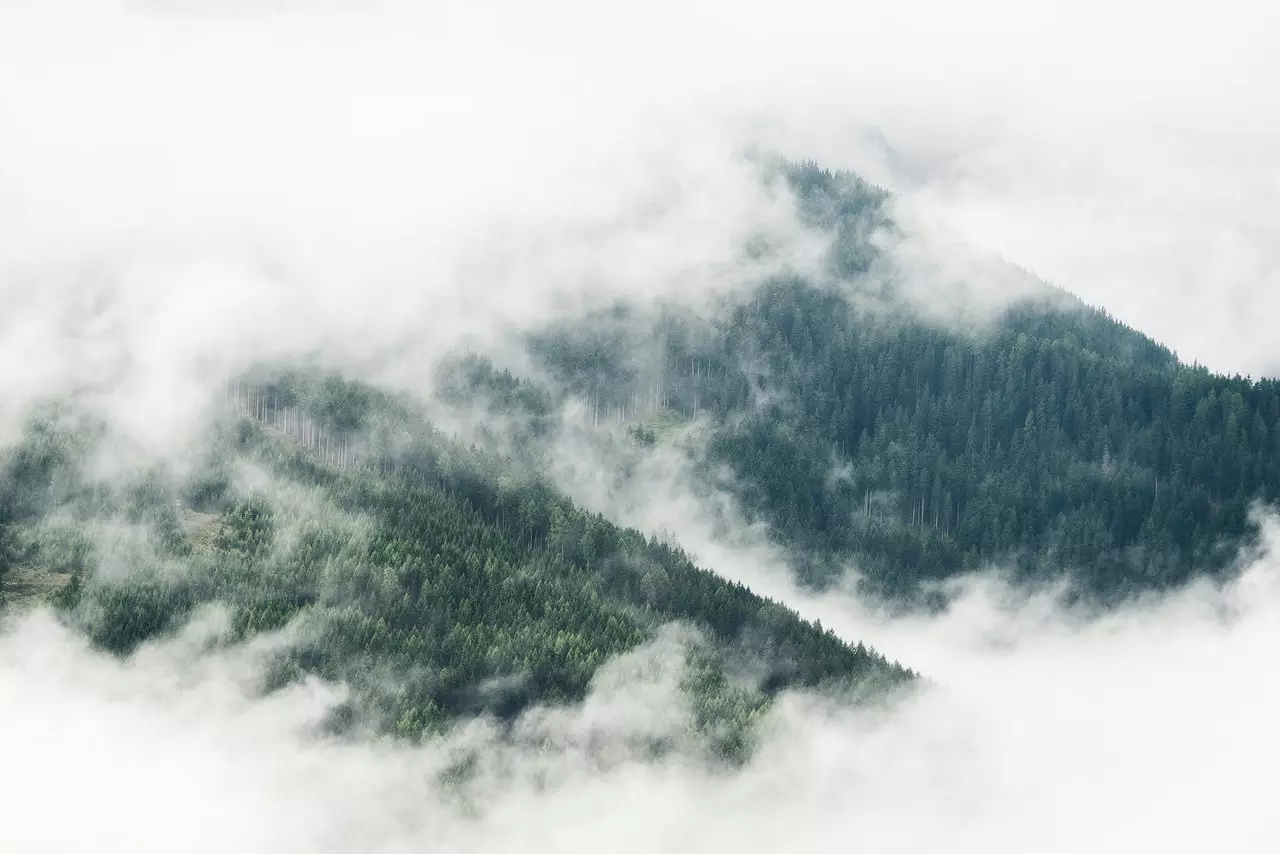 Natureza pensativa nas fotos Haiko Gerlicher Saer (Heiko Gerlicher) 6915_9