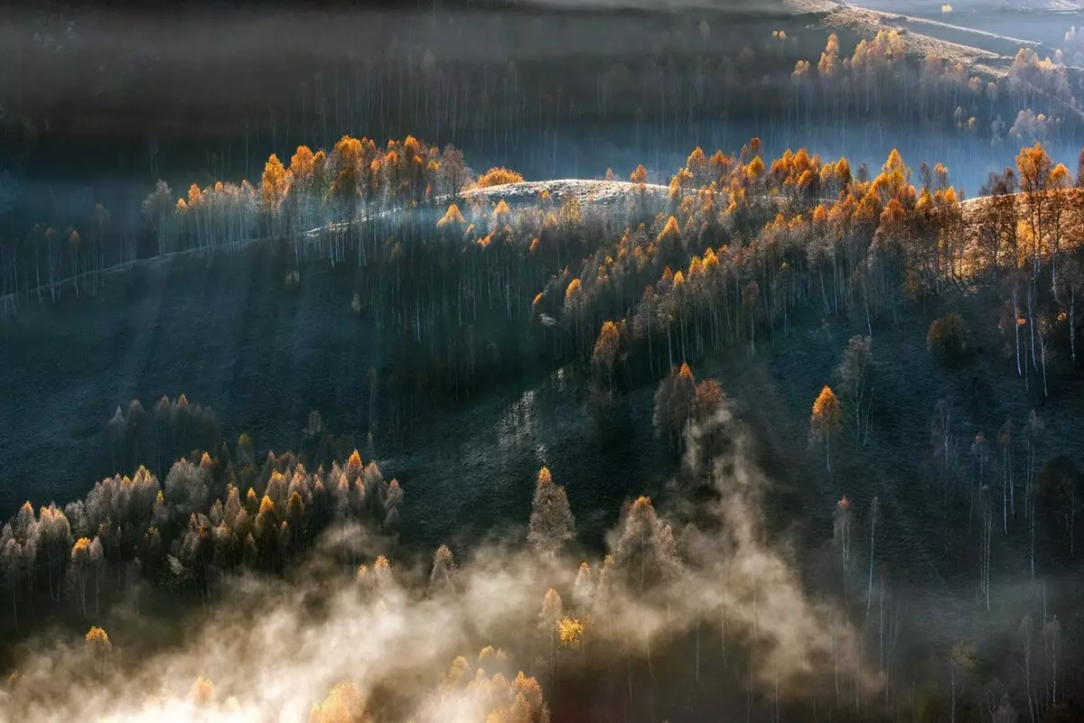 Transylvanie mystique: paysages, qui capture l'esprit! Photographe Alex Robciuc (Alex Robciuc) 6921_3