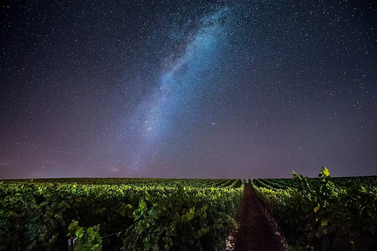 Transylvanie mystique: paysages, qui capture l'esprit! Photographe Alex Robciuc (Alex Robciuc) 6921_4