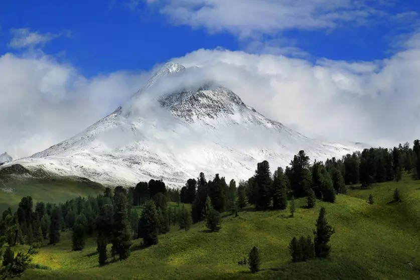 Beluha Mountain - Altai simbolo sa mga larawan Valentina Zenkova. 6971_17