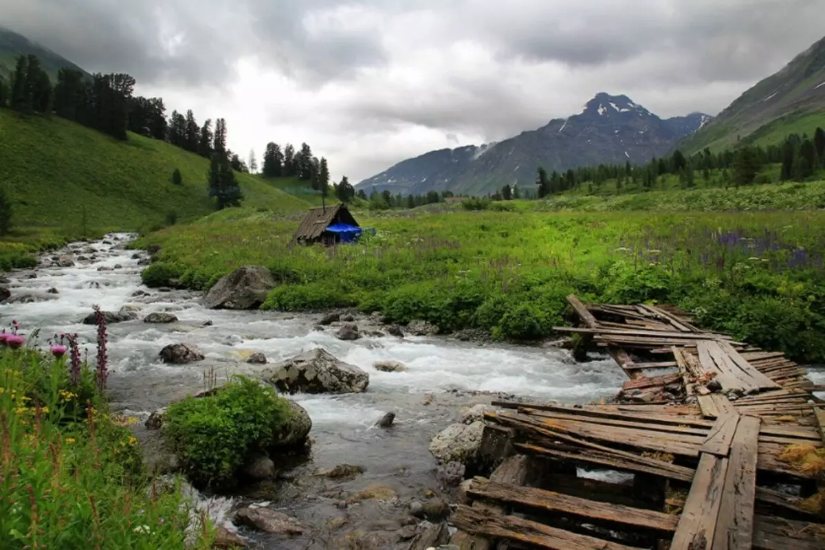 Beluha Mountain - Altai simbolo in foto Valentina Zenkova 6971_19