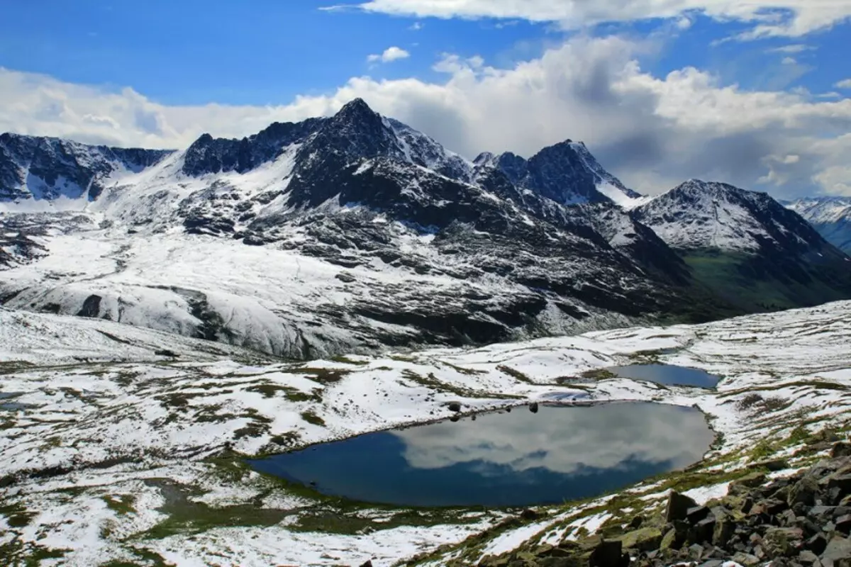 Beluha Mountain - Altai simbolo sa mga larawan Valentina Zenkova. 6971_20