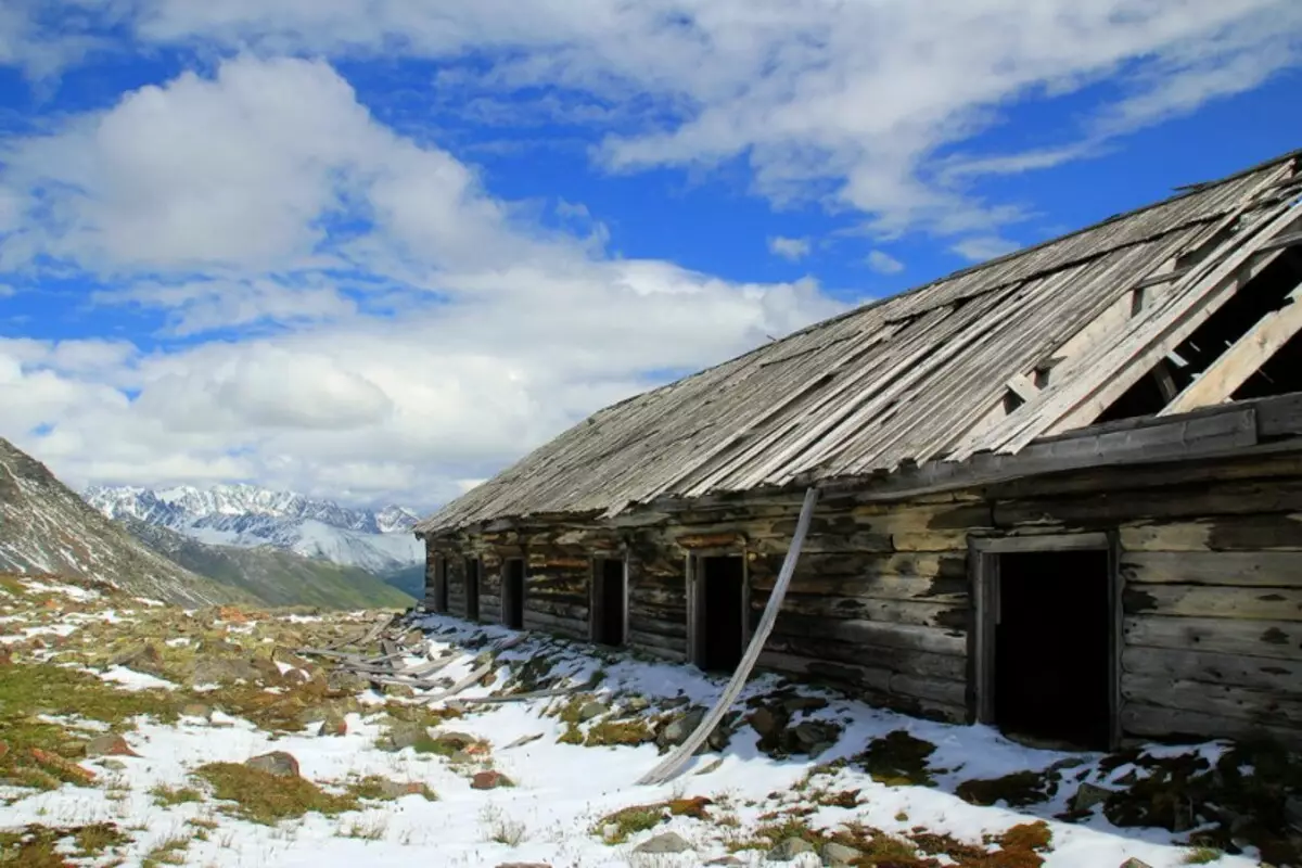 Beluha Mountain - Altai simbolo sa mga larawan Valentina Zenkova. 6971_22