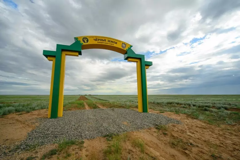 De wereld van het wild van Kalmykia! Reserve 