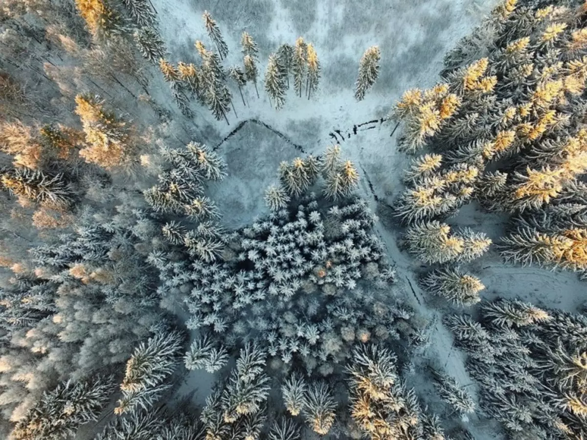 Najbolje sa foto konkursom Siena International FOTO nagrade 2017 7021_15