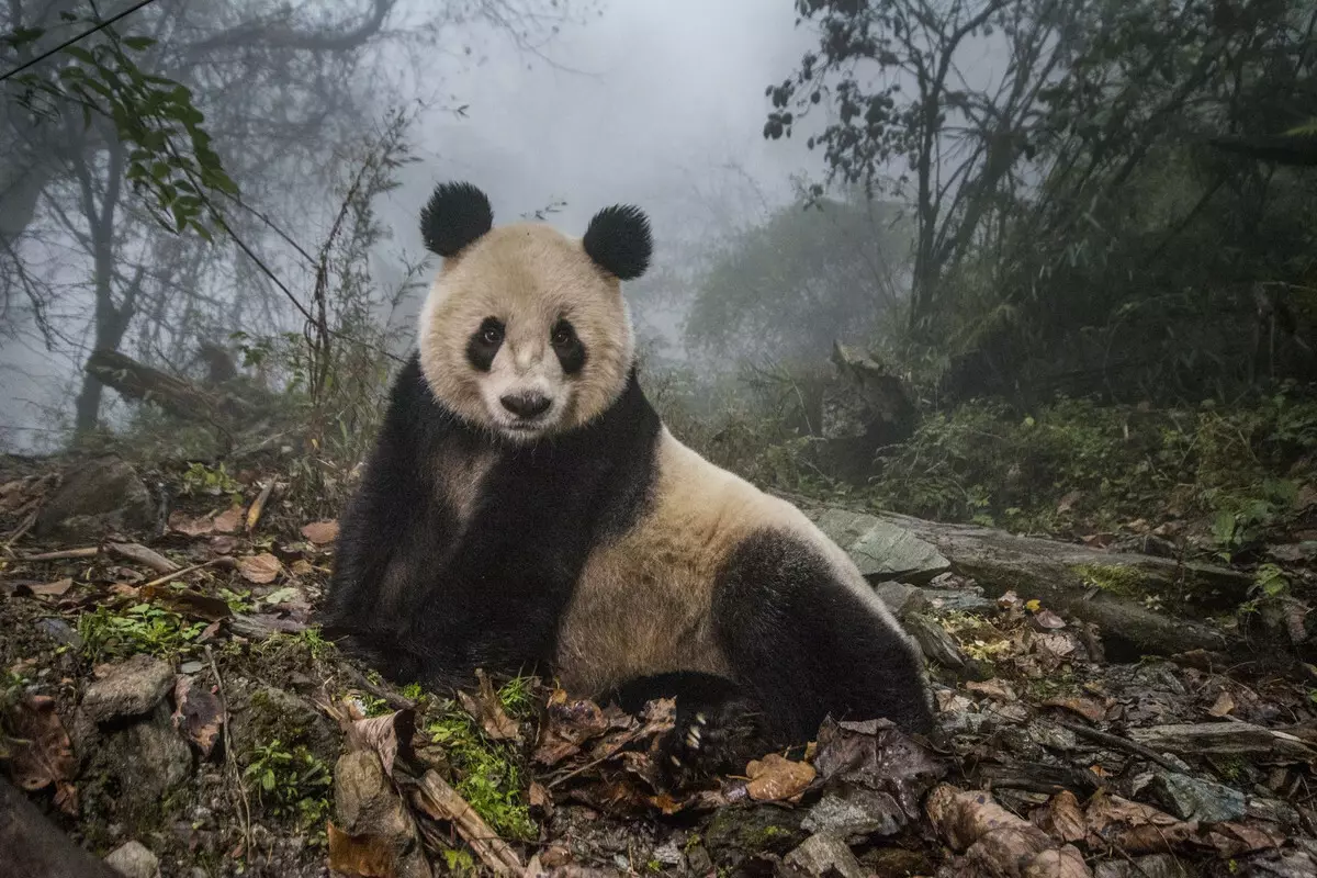 Krasota Prirody Siena Internasionale Fotografie Awards 28