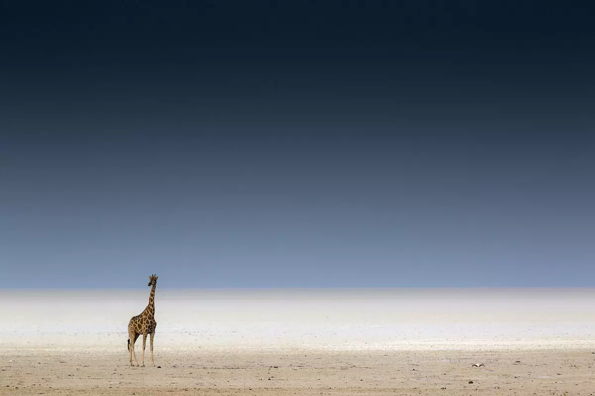 Krasota prirody siena internasionale fotografie toekennings 37