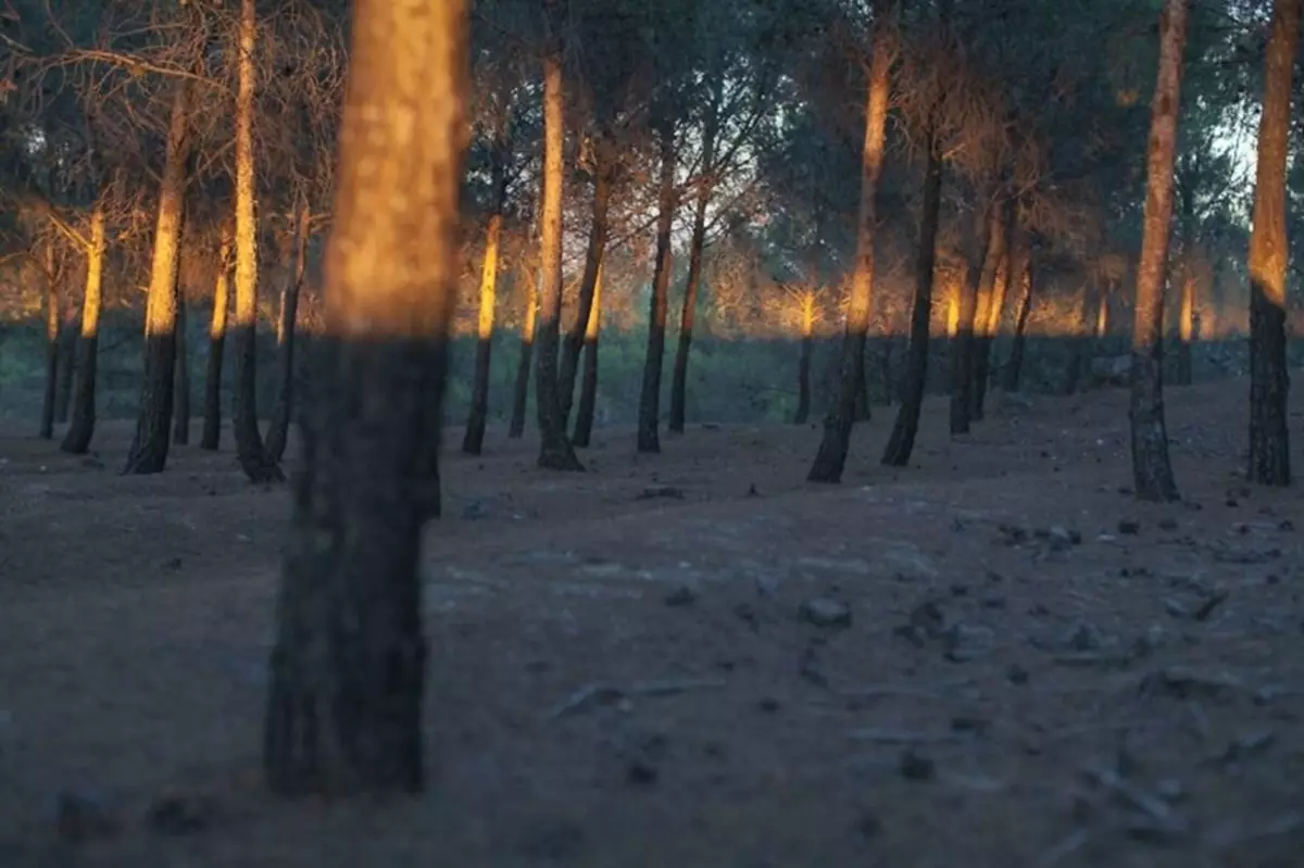 ¡Fotos asombrosas de Denis Cherim (Denis Chérmer), ¡permitiendo mirar el mundo de manera diferente! 7025_22