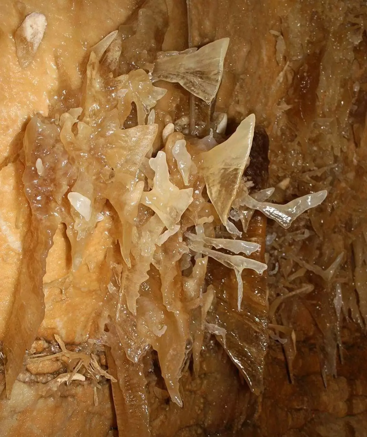 پسینے کی بڑھتی ہوئی خوبصورتی: ایک پریوں کی کہانی کی طرح اسٹالگمیوں اور stalactites 705_13