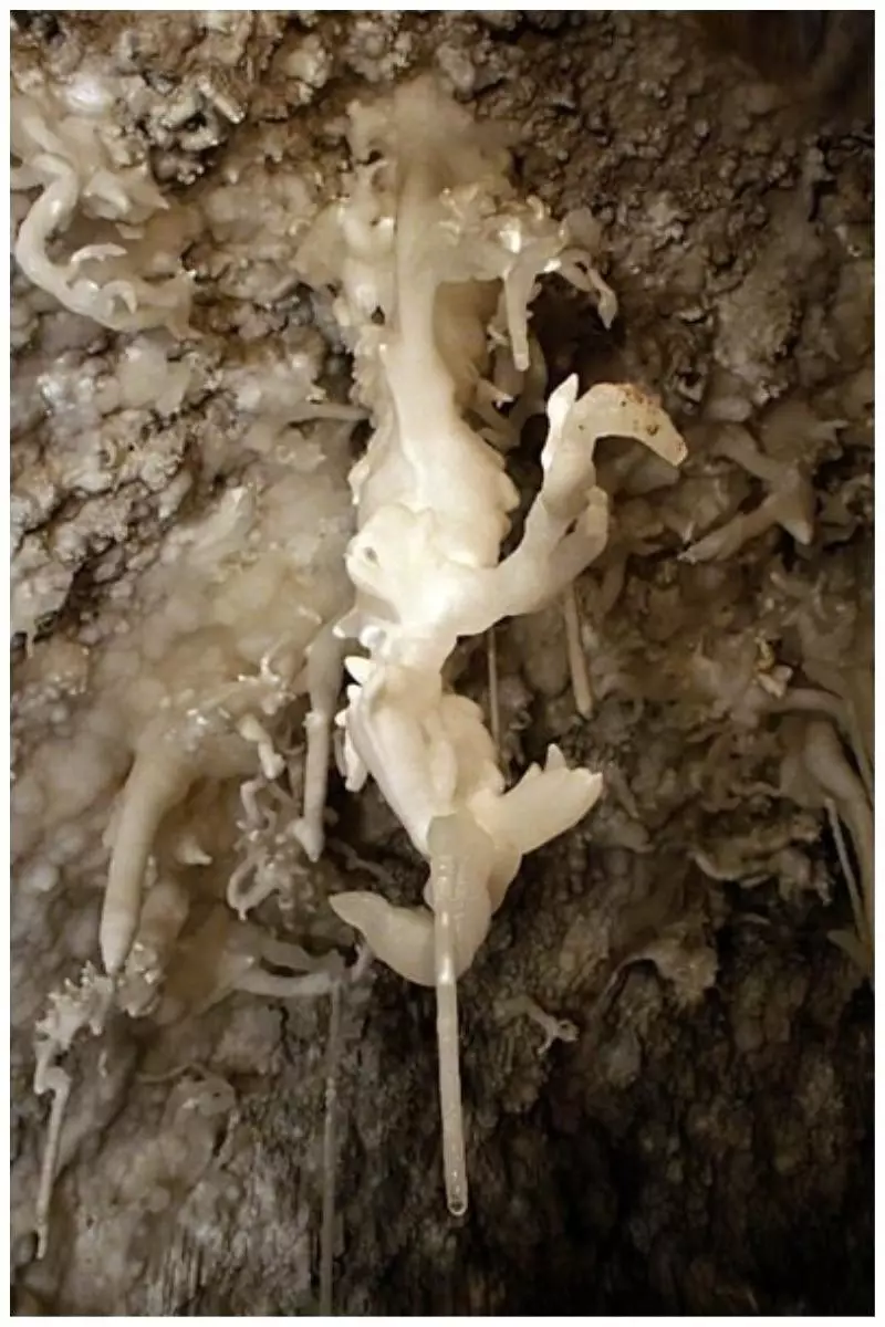 پسینے کی بڑھتی ہوئی خوبصورتی: ایک پریوں کی کہانی کی طرح اسٹالگمیوں اور stalactites 705_15